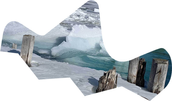 Contact Us - Shifting Ice