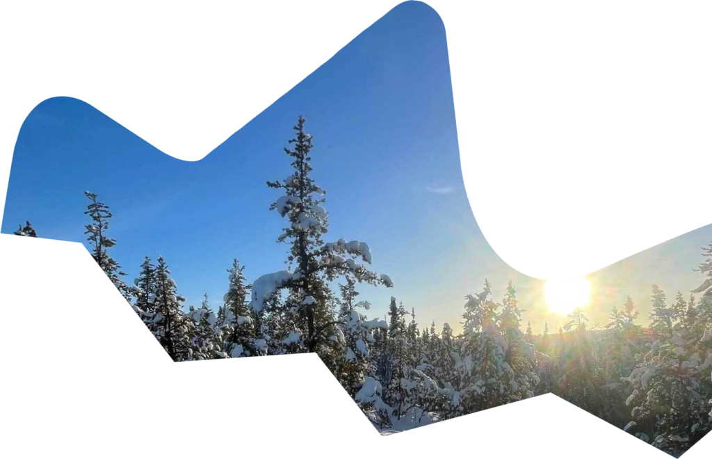 About Us - Shifting Ice